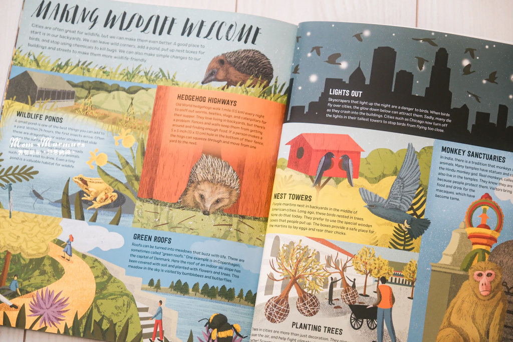 Wild City: Meet the animals who share our city spaces